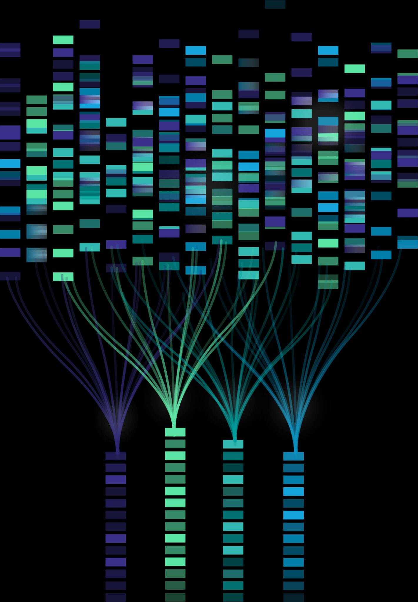 Digital Evolution | Brightly